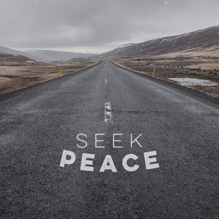 Seek Peace - Pocket Fuel Daily Devotional