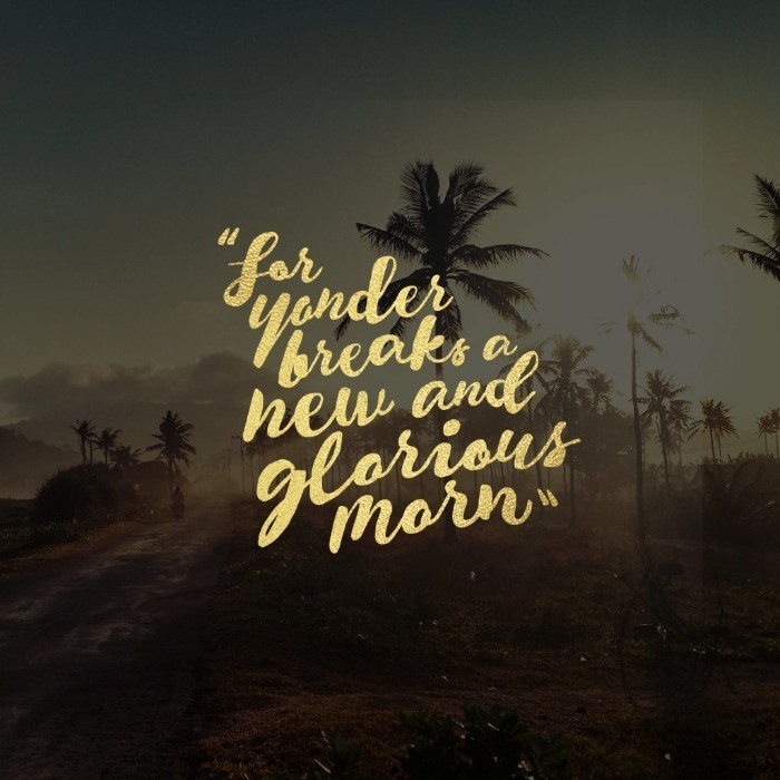 Glorious Night Quotes