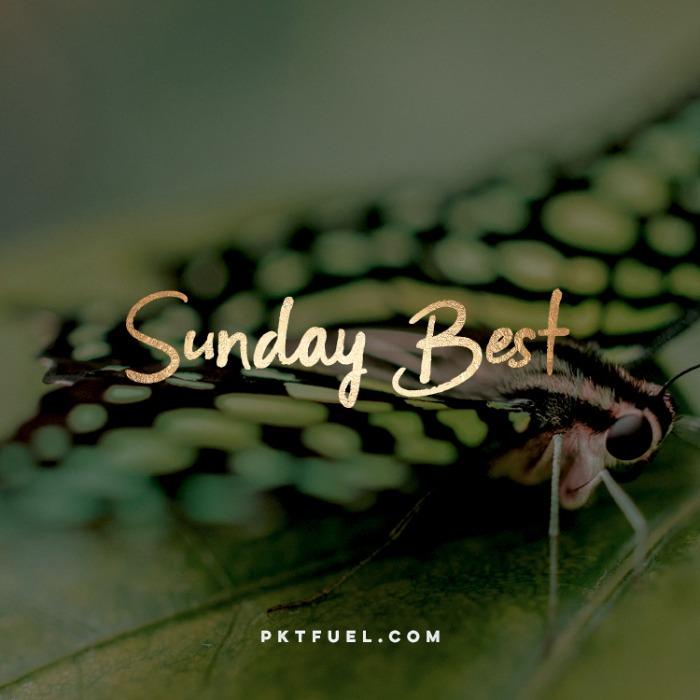 The Sunday Best - The Third Way, Light and Darkness and more - PktFuel.com