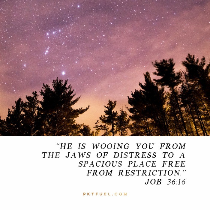 Words Bring Life and Love – The Distress Series – Part 1 - PktFuel.com